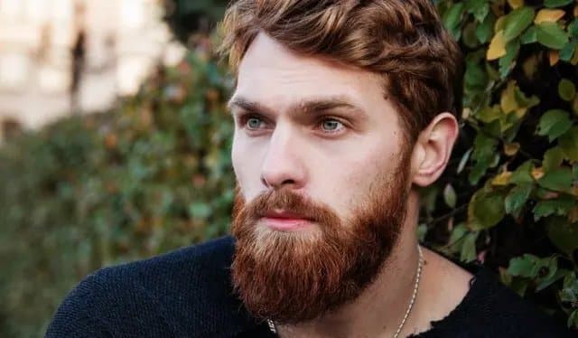 The Number 4 Beard: Guard, Length, Styles (Pics)